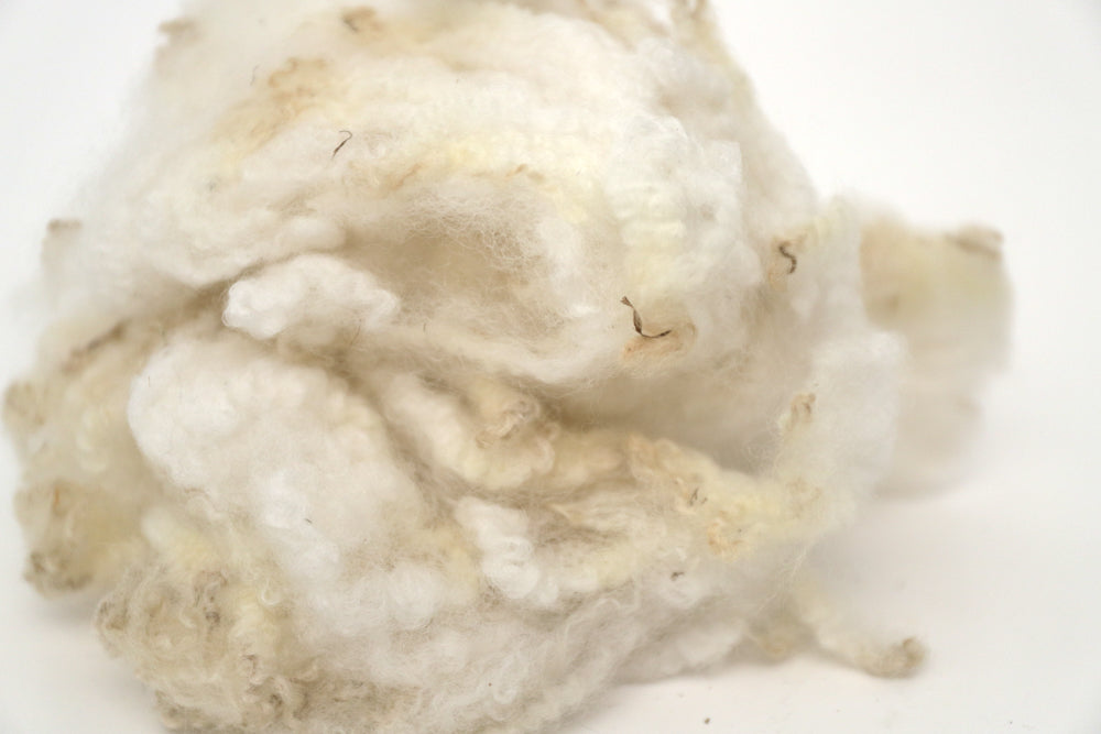 Scoured Wool - BFL x Wensleydale – High Country Wool